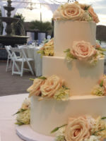 Wedding Cake Designs – Top Tier Treats